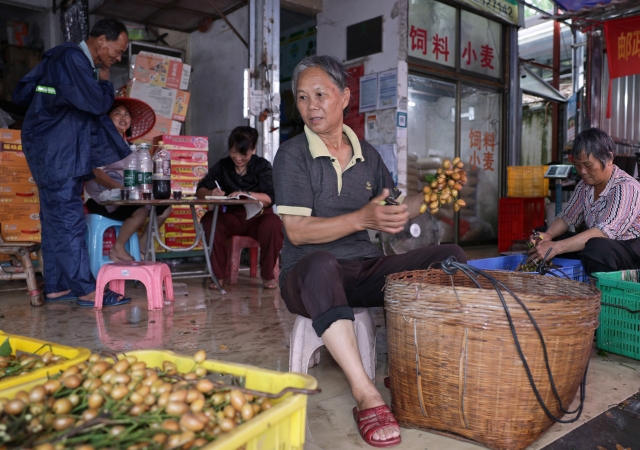 Guangzhou's golden wampee harvest fuels diverse delicacies | INFO Guangdong