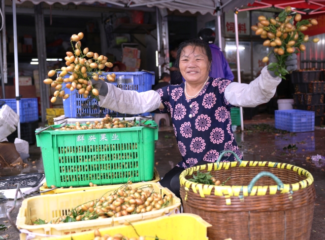 Guangzhou's golden wampee harvest fuels diverse delicacies | INFO Guangdong